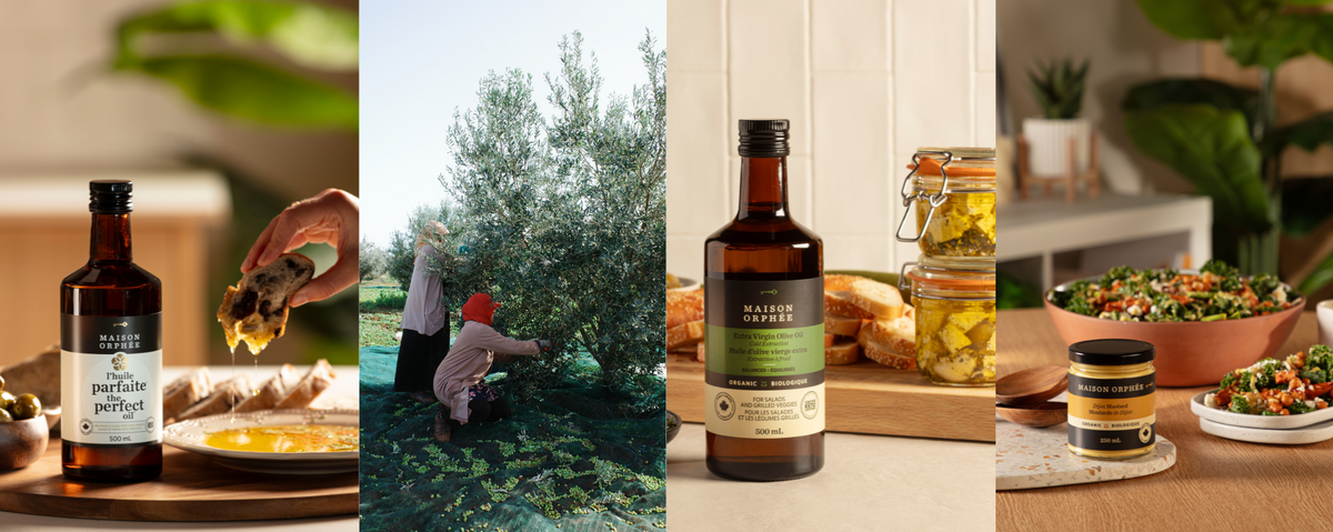 Nos résolutions pour 2025 – La Maison Orphée